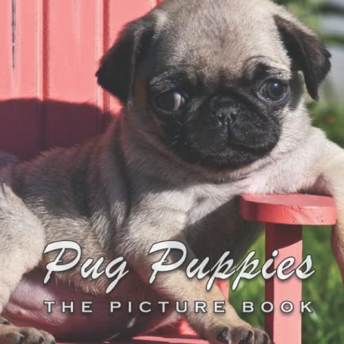 Pug Puppies Picture Book: An Amazing Collection With Compelling Photos ...