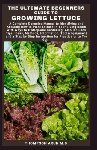 THE ULTIMATE BEGINNERS GUIDE TO GROWING LETTUCE: A Complete Dummies ...