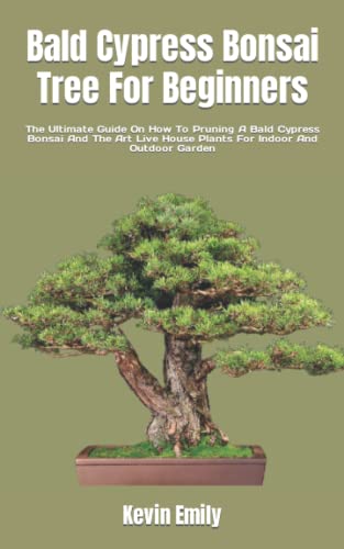 Bald Cypress Bonsai Tree For Beginners: The Ultimate Guide On How To ...