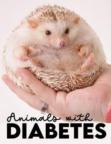 Animals With Diabetes Photobook: Over 30 Photos Of Animals Being Super ...