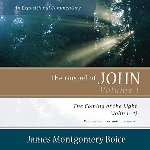 The Gospel of John: The Coming of the Light John 1-4 by James ...