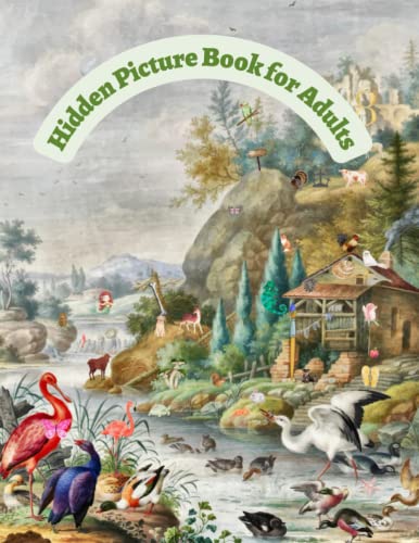 Hidden Picture Book for Adults: Seek and Find the Hidden Objects in the ...