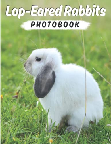 Lop-Eared Rabbits Photo Book: Lop Rabbit with Floppy Ears Photographic ...
