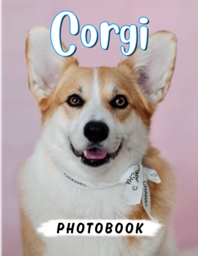 Corgi Photobook: Strong Body, Short Legs Photography Book to Decor Room ...