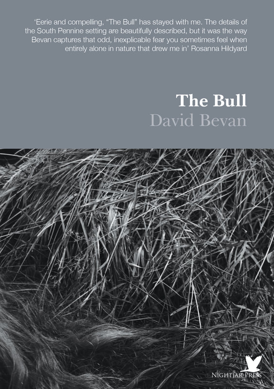 The Bull by David Bevan | Goodreads