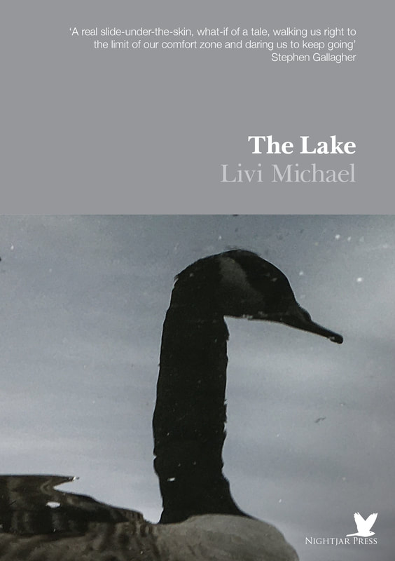 The Lake by Livi Michael | Goodreads