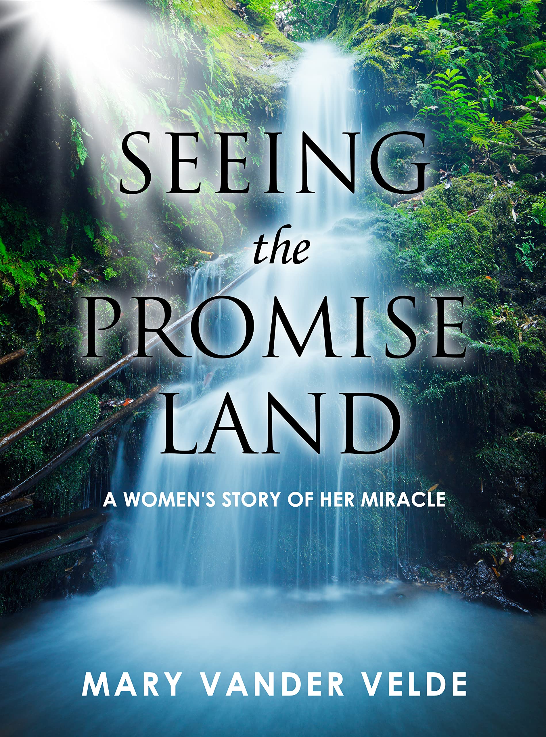 Seeing the Promise Land: A Women's story of her Miracle by Mary ...