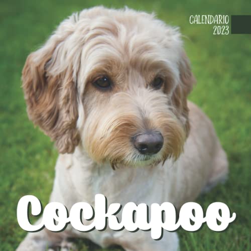 Cockapoo Calendario 2023: Un calendario mensile di 18 mesi luglio 2022 ...