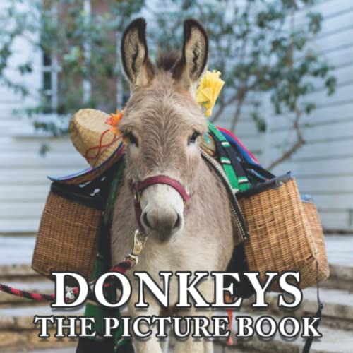 Donkeys Picture Book: Compelling Photos Of Donkeys Collection As A ...