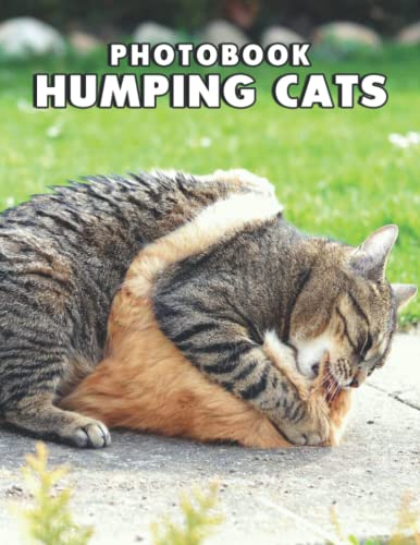The Photo Of Humping Cats: A Wonderful Gift With Compelling And ...