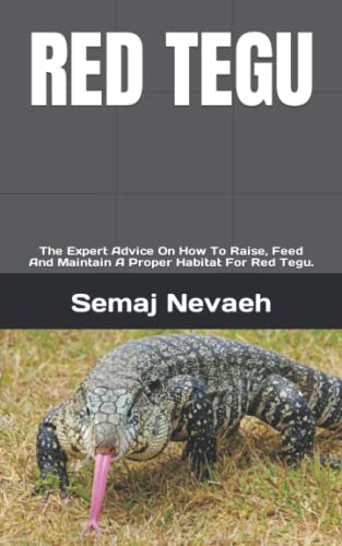 RED TEGU: The Expert Advice On How To Raise, Feed And Maintain A Proper ...