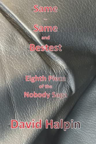Same … Same and Bestest: Eighth Piece of the Nobody Saga by David ...