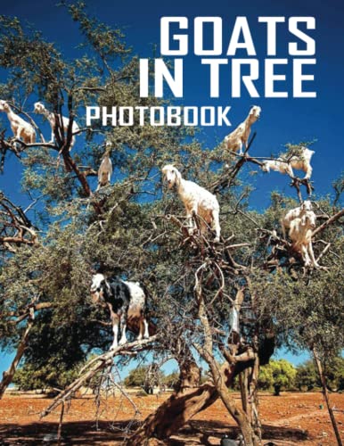 Goats In Tree Photo Book: Compelling Photos Of Goats In Tree Collection ...