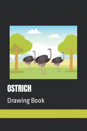 Ostrich: Drawing Book by Y R | Goodreads