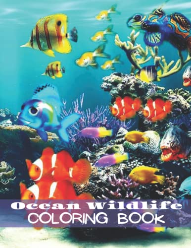 Ocean Wildlife Coloring Book: Creative Haven Fanciful Sea Life | An ...