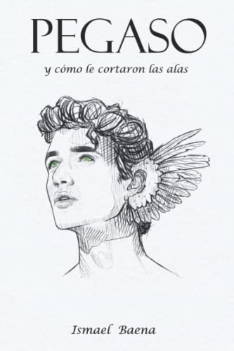Pegaso: Y cómo le cortaron las alas (Spanish Edition) by Ismael Baena ...