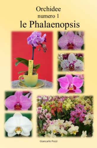 orchidee: n° 1 le Phalaenopsis (orchidee, una medicina per l'anima) by ...