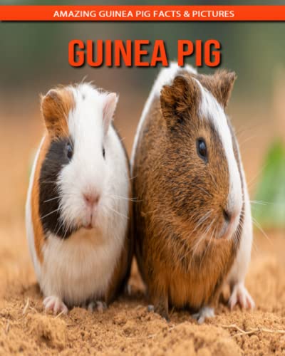 Guinea Pig: Amazing Guinea Pig Facts & Pictures by Maria Polansky ...