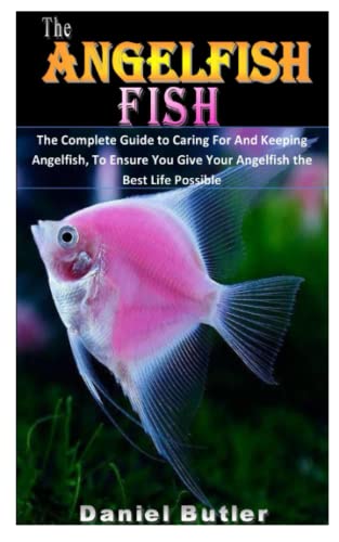 THE ANGELFISH: The Complete Guide to Caring For And Keeping Angelfish ...