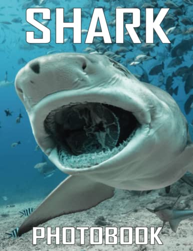 Shark Photo Book: Compelling Photos Of Shark Collection As A Perfect ...