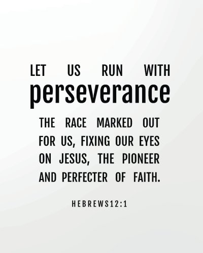 Let us run with perseverance: Let us run with perseverance the race ...
