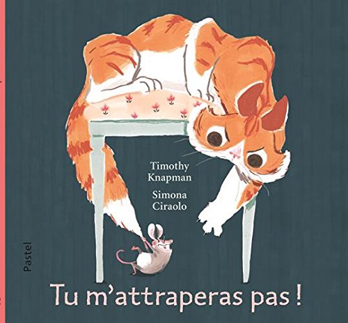 Tu m'attraperas pas ! by Timothy Knapman | Goodreads
