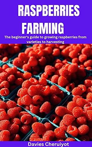 RASPBERRIES FARMING: The beginner's guide to growing raspberries from ...