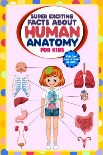 Super Exciting Facts about Human Anatomy for Kids: Easy-to-Understand ...