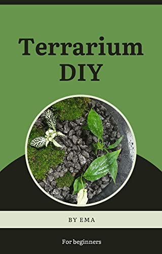 Terrarium DIY: How to make terrarium at home? by Emanuela Baldigara ...