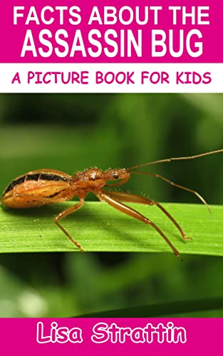 Facts About the Assassin Bug by Lisa Strattin | Goodreads