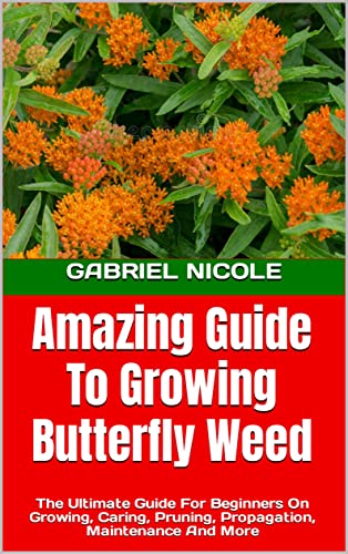 Amazing Guide To Growing Butterfly Weed : The Ultimate Guide For ...