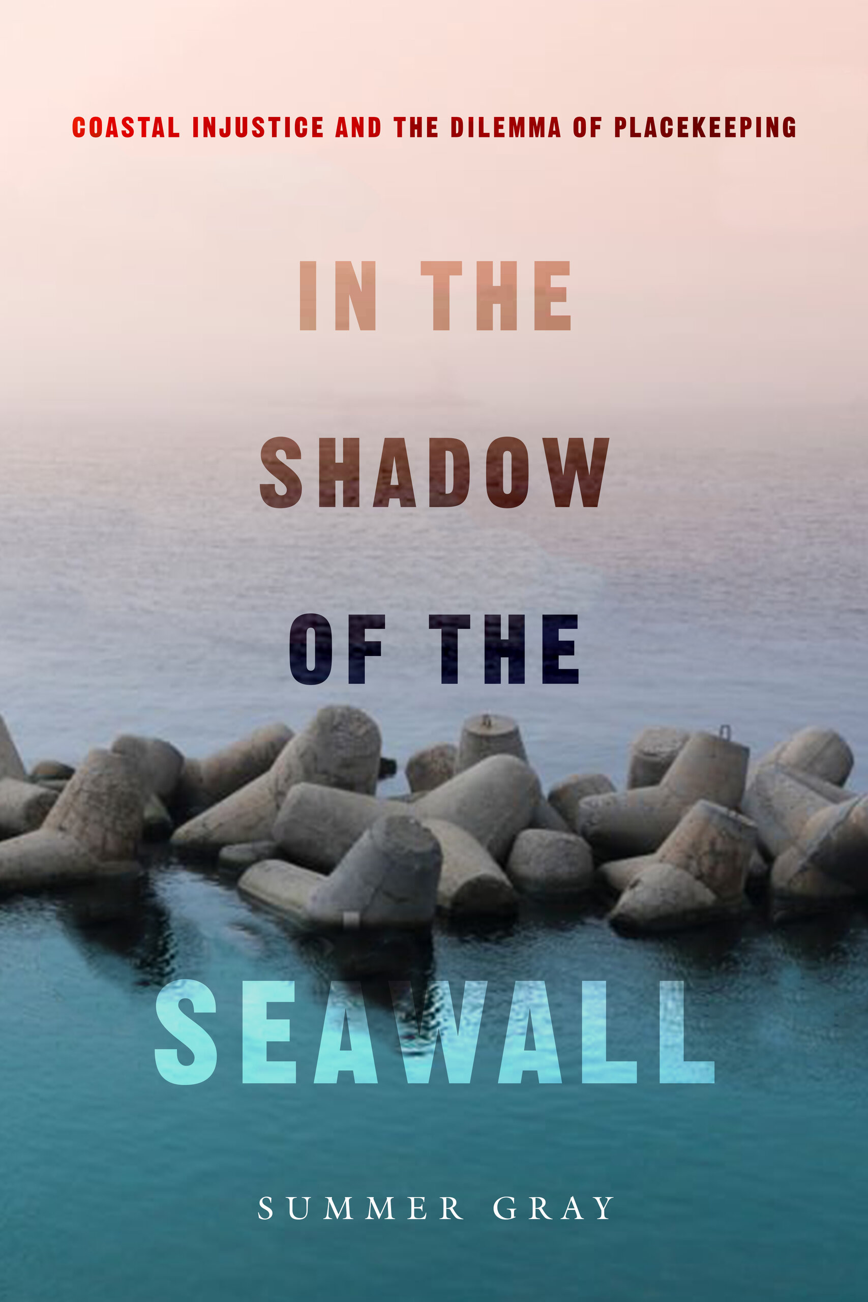 In the Shadow of the Seawall: Coastal Injustice and the Dilemma of Placekeeping by Summer Gray ...