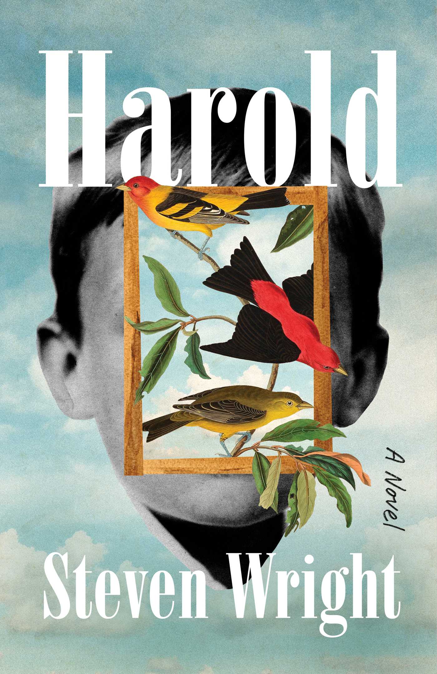 Harold by Steven Wright | Goodreads