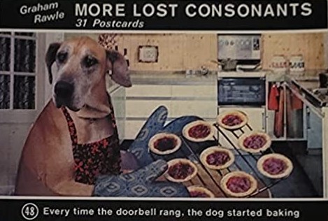 More Lost Consonants (A "Guardian" Book) by Graham Rawle | Goodreads