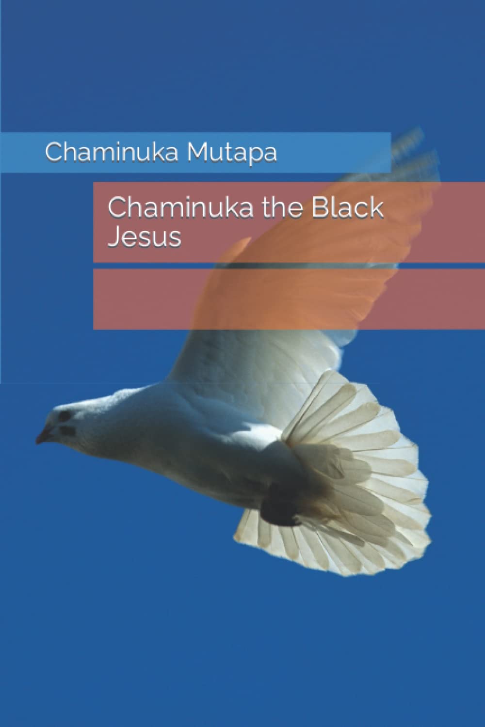 Chaminuka the Black Jesus by Chaminuka Mutapa | Goodreads