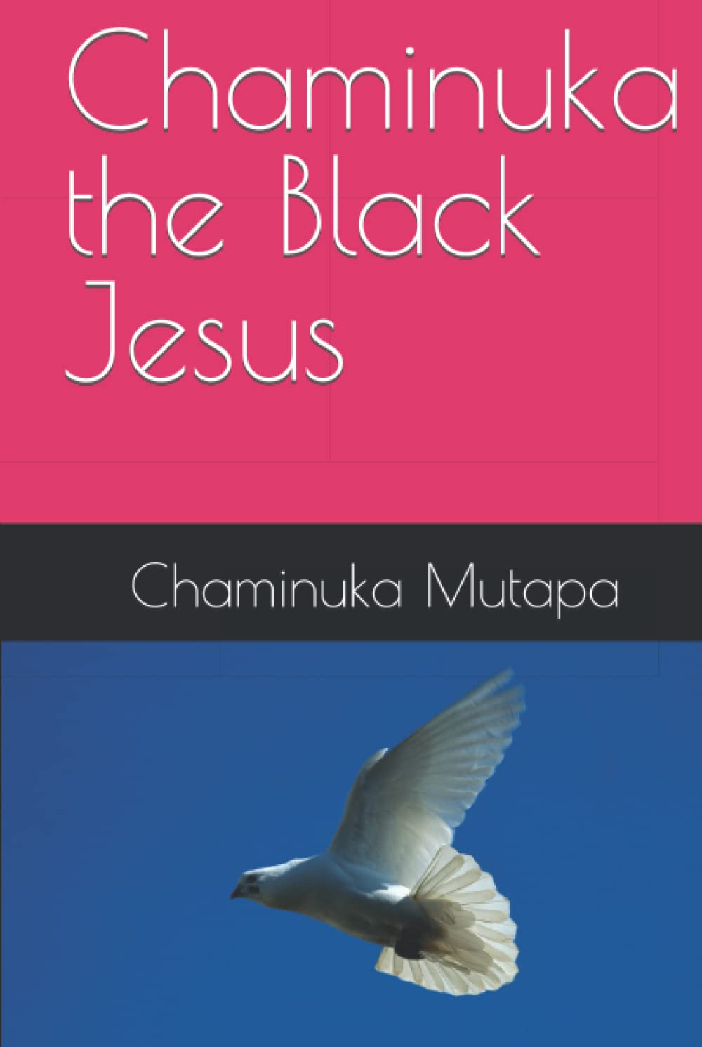Chaminuka the Black Jesus by Chaminuka Mutapa | Goodreads