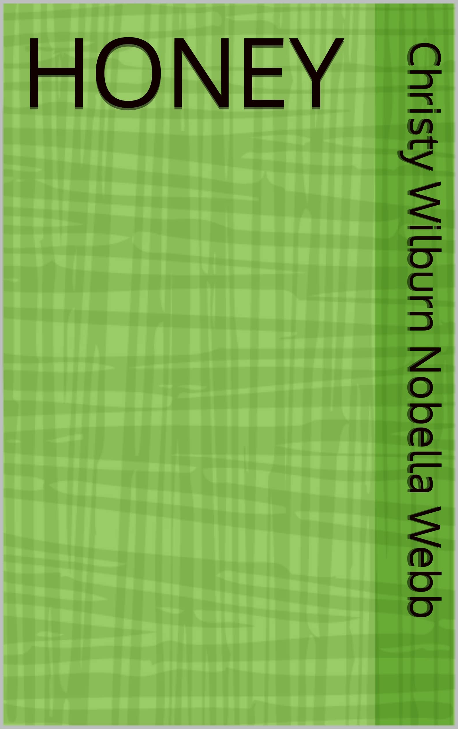 HONEY: Children's Action and Adventure Story for all ages by Christy ...