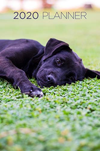 2020 Planner: Increase productivity, improve time management, reach ...