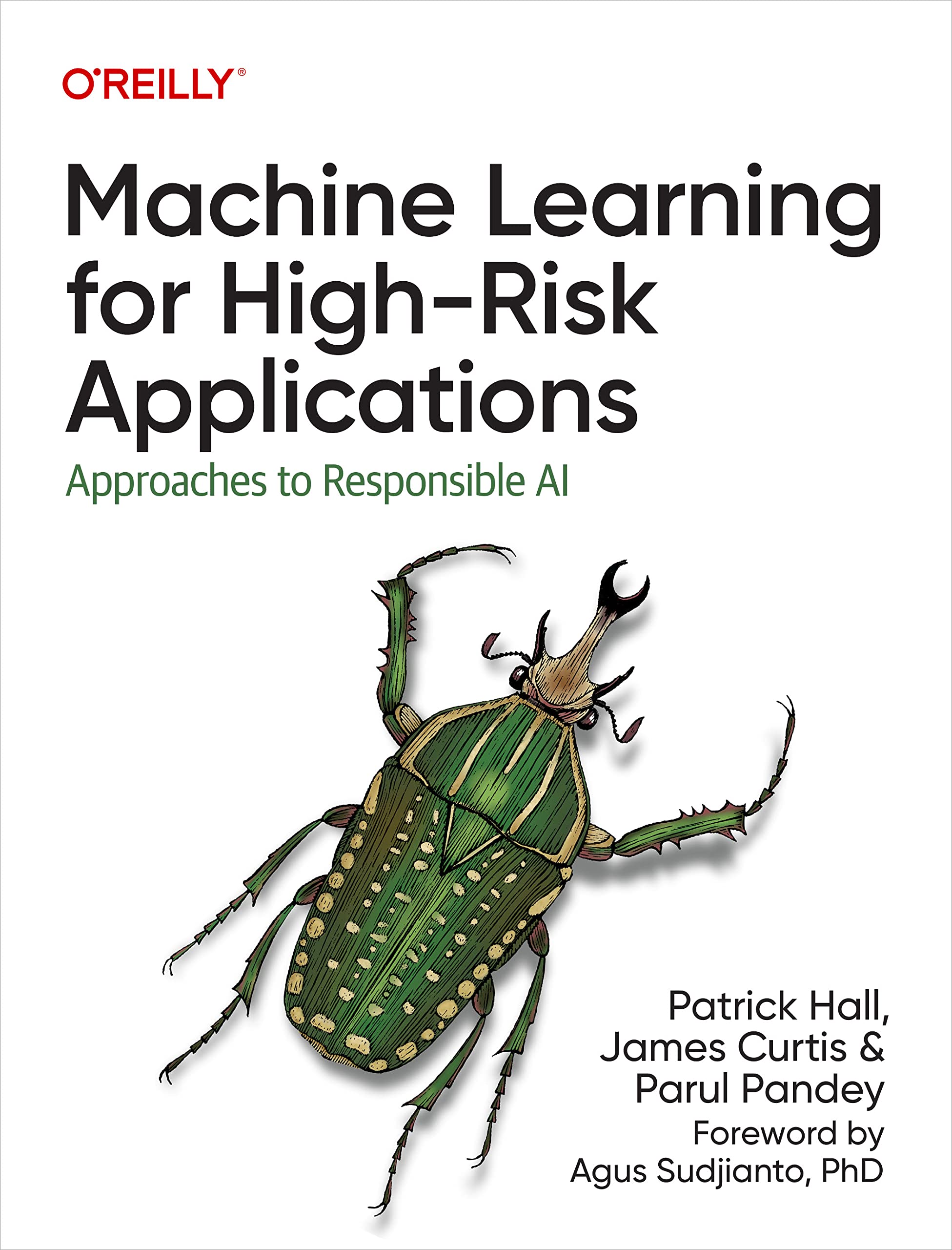 Machine Learning for High-Risk Applications: Approaches to Responsible ...