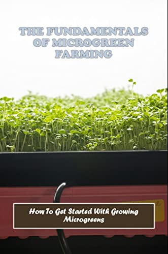 The Fundamentals Of Microgreen Farming: How To Get Started With Growing ...