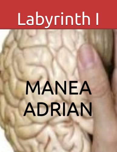 Labyrinth I by MANEA ADRIAN | Goodreads