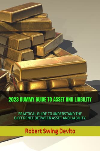 2023 DUMMY GUIDE TO ASSET AND LIABILITY: PRACTICAL GUIDE TO UNDERSTAND ...