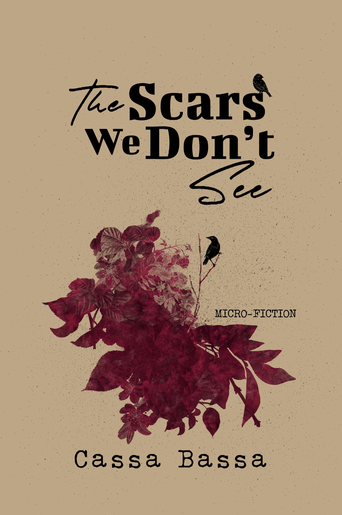 The Scars We Don't See by Cassa Bassa | Goodreads