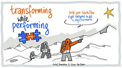 Transforming While Performing: Find your North Star and get everyone to act in days, not months ...