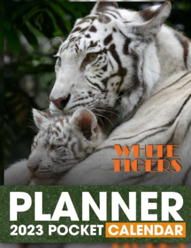 White Tigers Pocket Calendar 2023: 2 Years Daily Weekly Monthly Planner ...