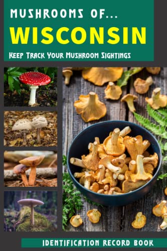 Mushrooms Foraging In Wisconsin Book: Wild Mushrooms Gathering ...