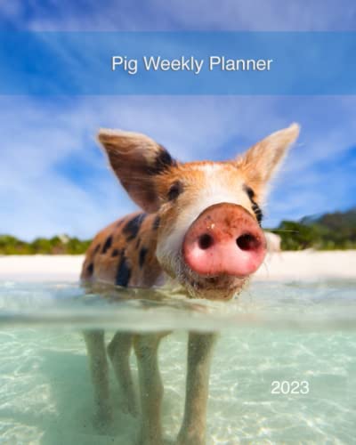 Pig Weekly Planner 2023: Daily, Weekly and Monthly Planner | Pig 2023 ...