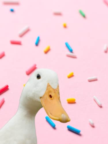 Duck Sprinkles (mini PINK double-side lined) by Reagan Miller | Goodreads