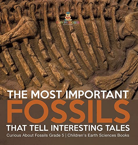 The Most Important Fossils That Tell Interesting Tales Curious About ...