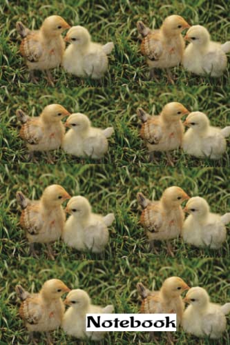 Chicken Notebook by Tammy J Bradley | Goodreads